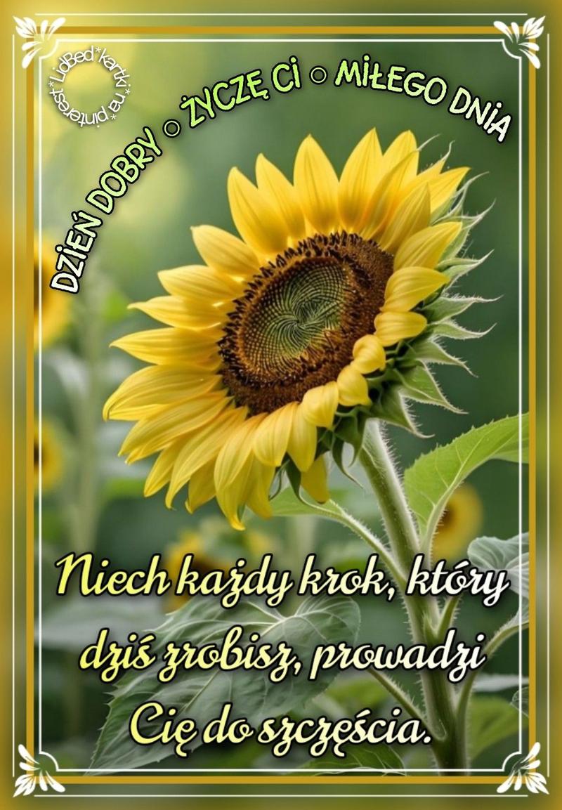 Życzenia miłego dnia: wesołe wierszyki, kartki i cytaty na dobry humor ...